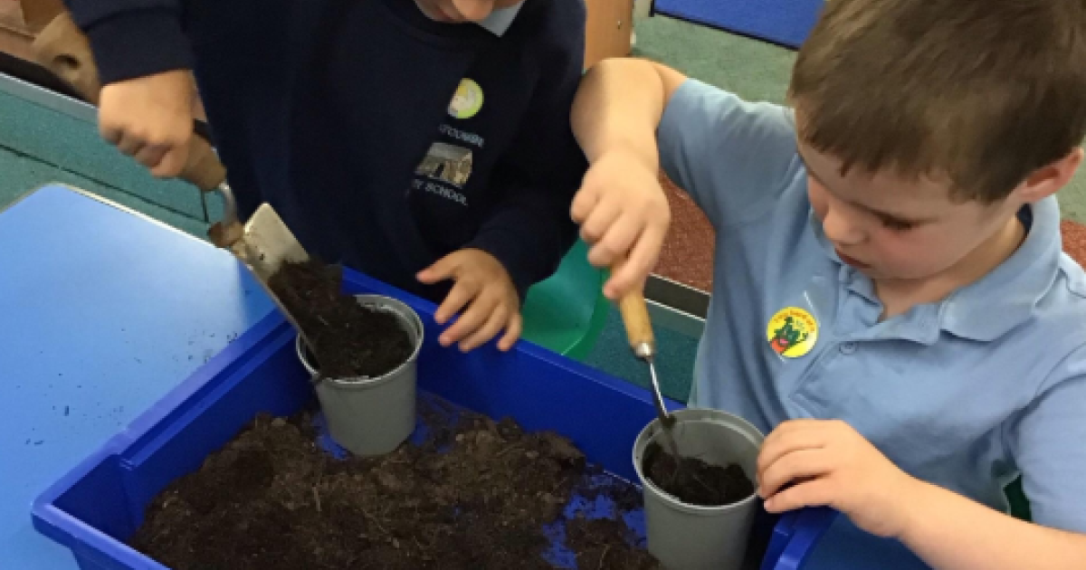 Science in Squirrel Class | Eastcombe Primary School